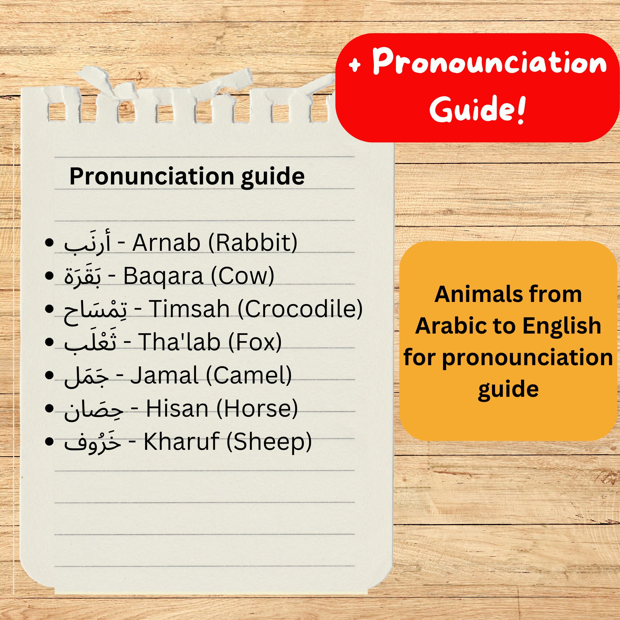 28 Colorful Arabic Animal Flashcards for Kids | Printable Cards | Learn ...