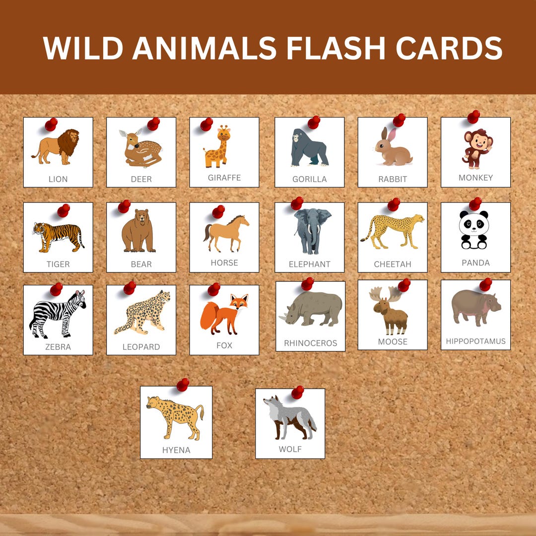 Wild Animals Flashcards 3x3, Educational Kids Flashcards Homeschooling ...