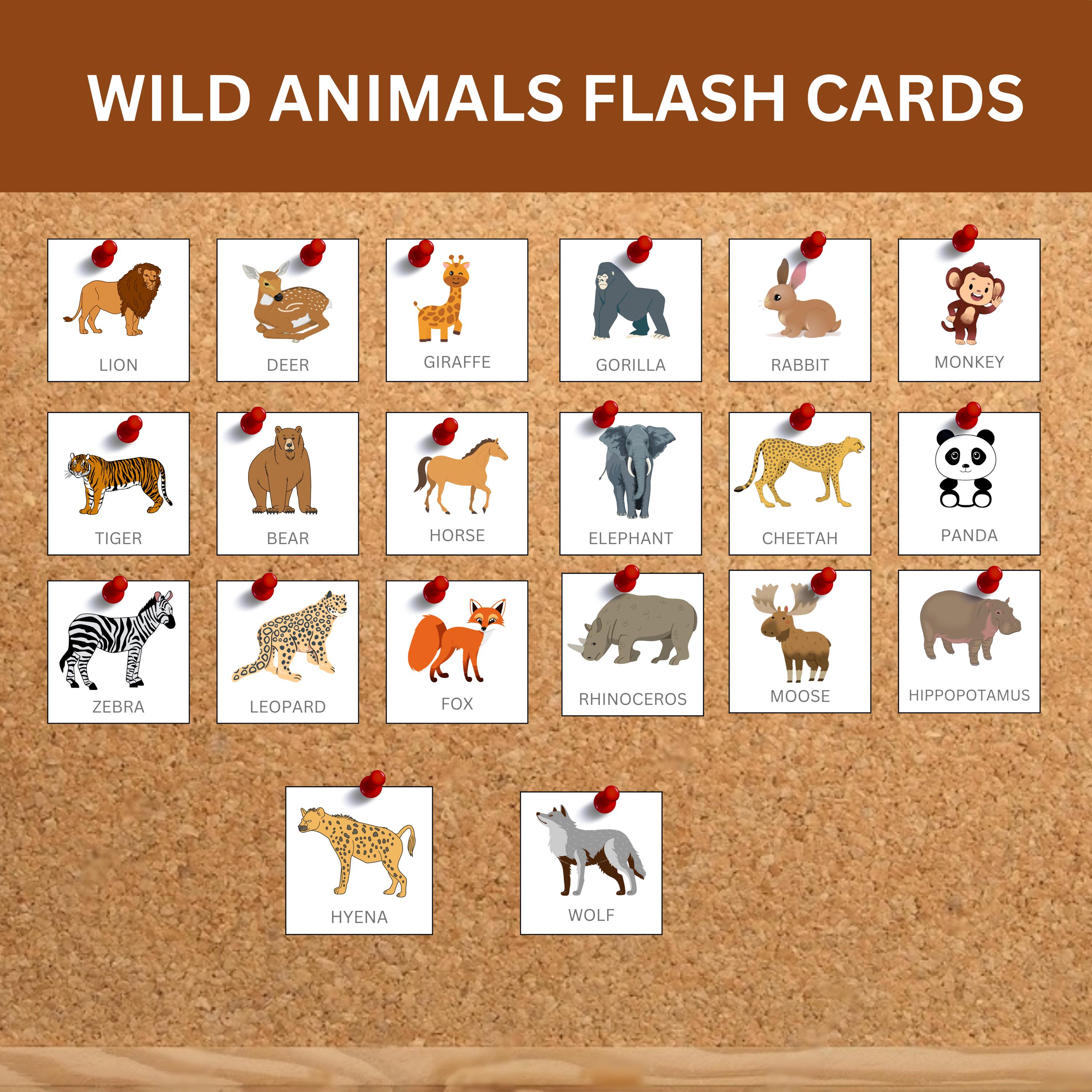 Wild Animals Flashcards 3x3, Educational Kids Flashcards Homeschooling ...