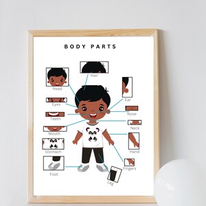 Body Parts Poster, Educational Posters, Montessori Materials, Nursery ...