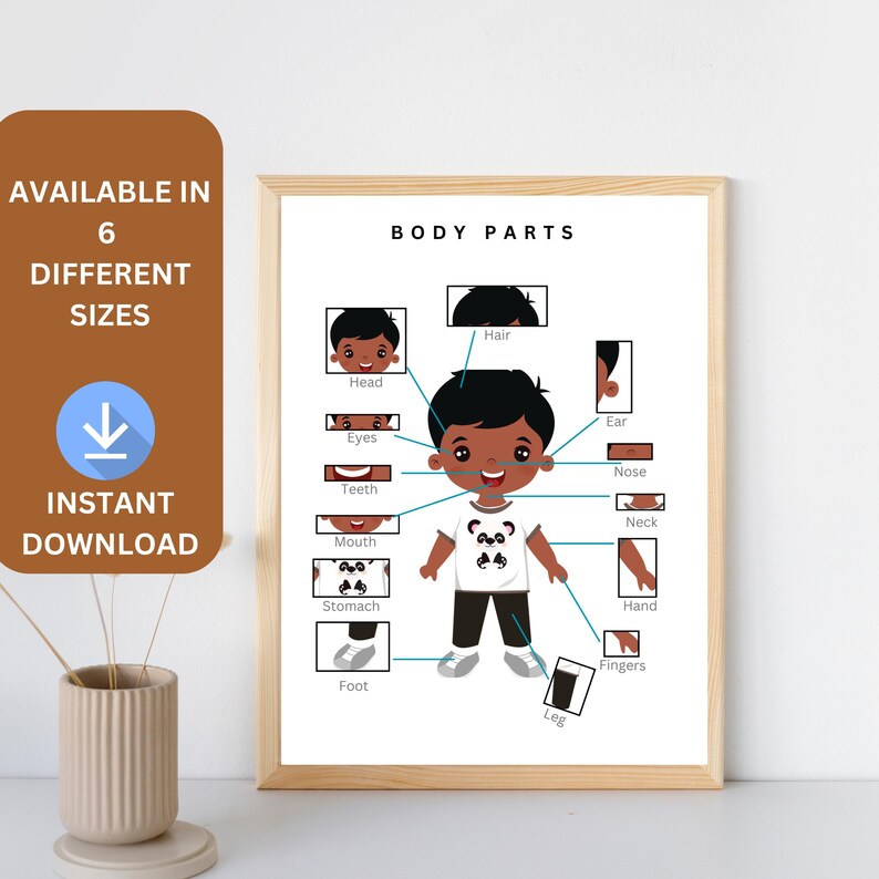 Body Parts Poster, Educational Posters, Montessori Materials, Nursery ...