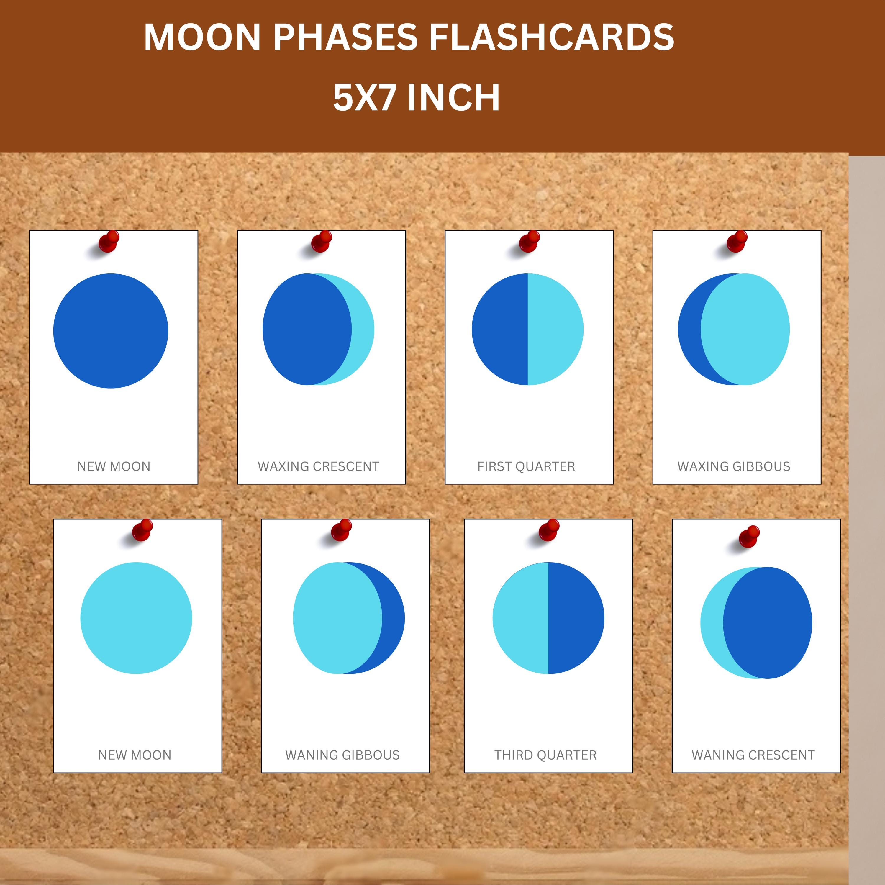Moon Phases Flashcards, Educational Kids Flashcards, Learningactivity ...