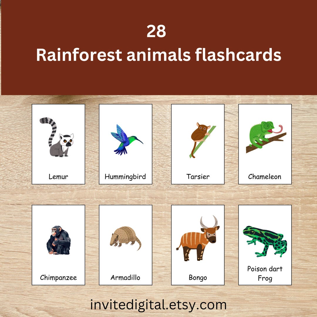 28 Rainforest Animals Flashcards PDF Download - Etsy