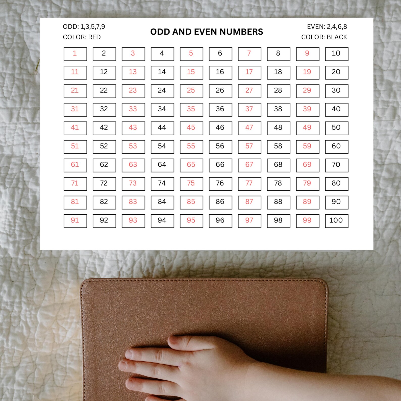 Odd and Even Numbers Printable Number Chart Odd Numbers Even Numbers ...