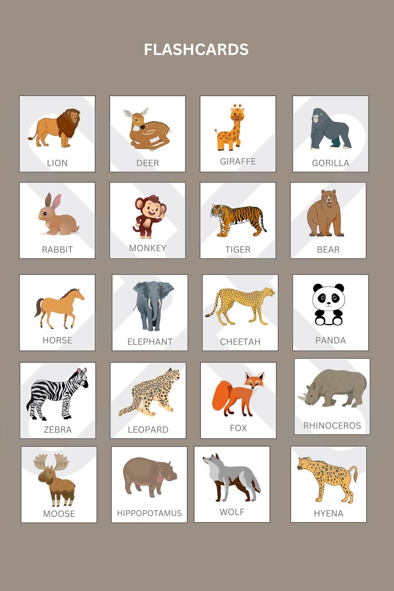 Wild Animals Flashcards 3x3, Educational Kids Flashcards Homeschooling ...