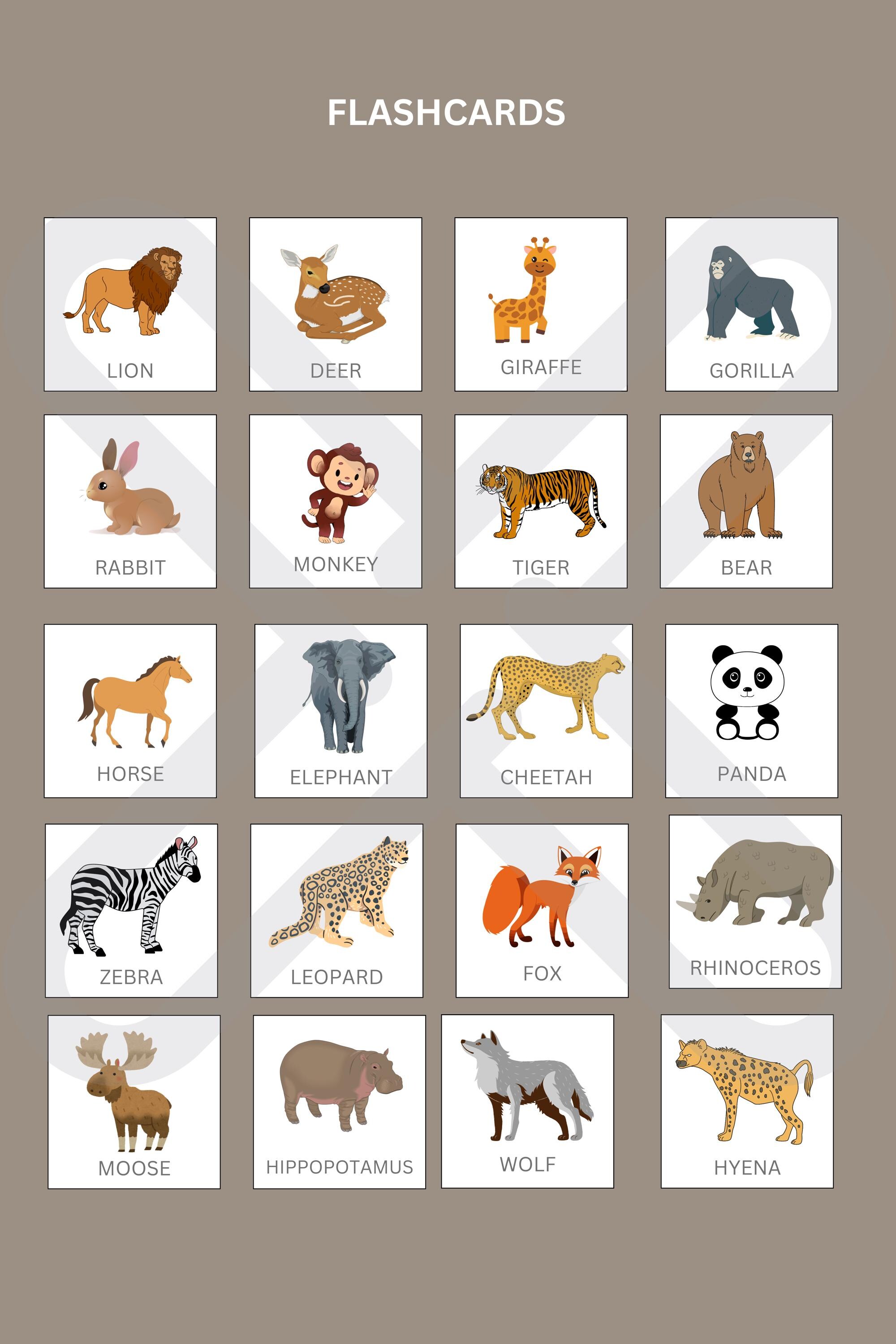 Wild Animals Flashcards 3x3, Educational Kids Flashcards Homeschooling ...