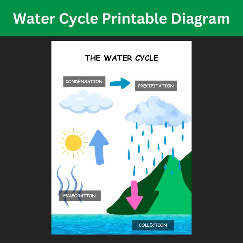 Water Cycle Printable Diagram PDF Download - Etsy