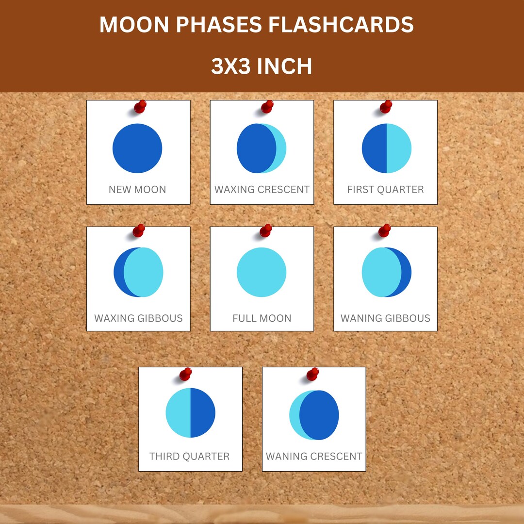 Moon Phases Flashcards, Educational Kids Flashcards, Learningactivity ...