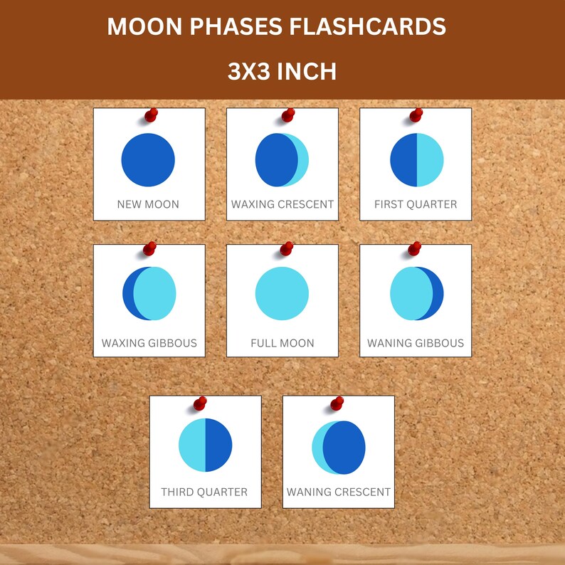 Moon Phases Flashcards, Educational Kids Flashcards, Learningactivity ...