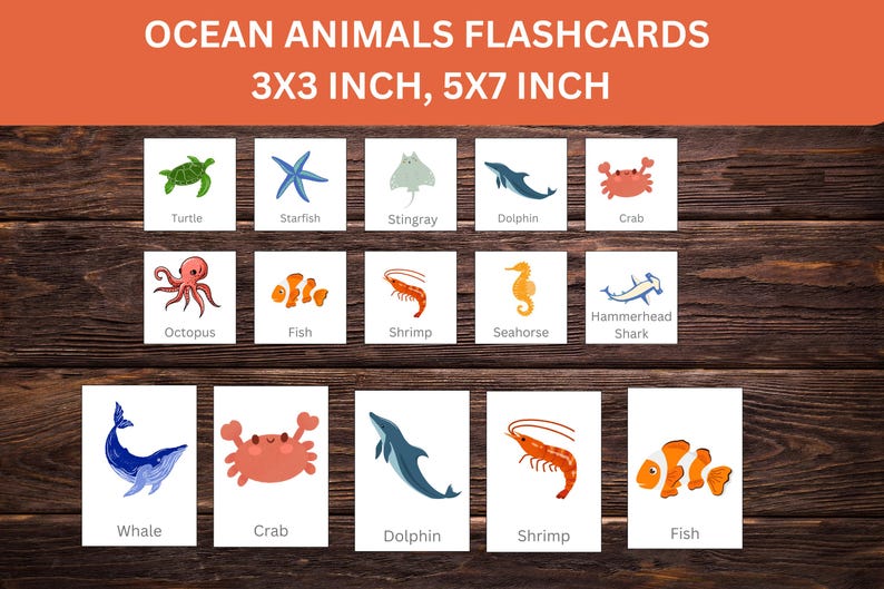 Ocean Animals Flashcards, Sea Animals Creatures Flashcards Education ...