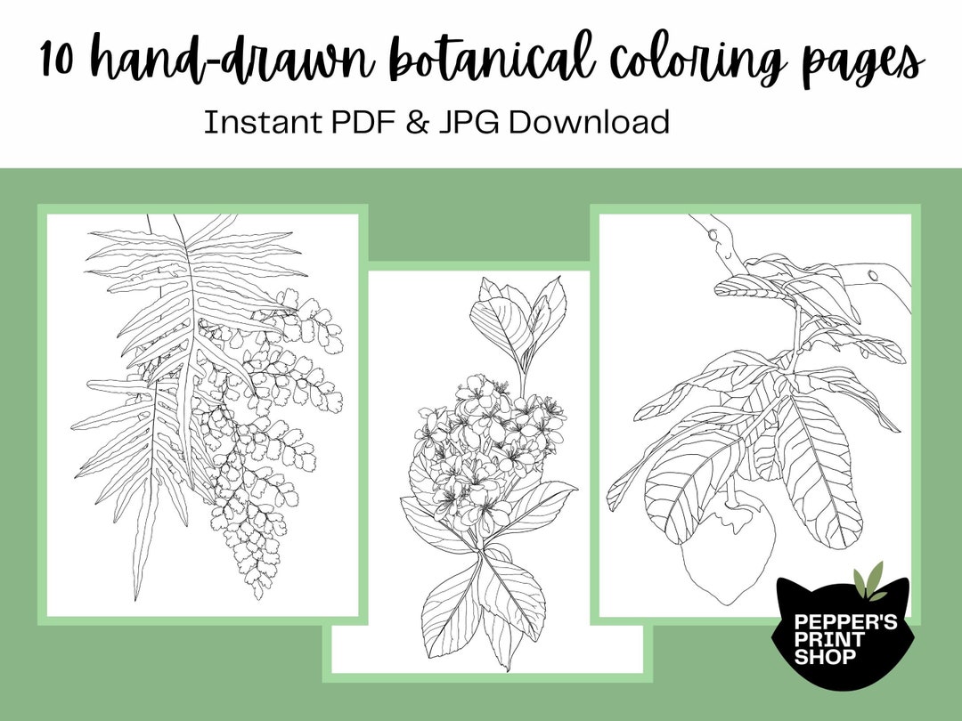 10 Hand-drawn Botanical Coloring Pages for Digital Download - Etsy