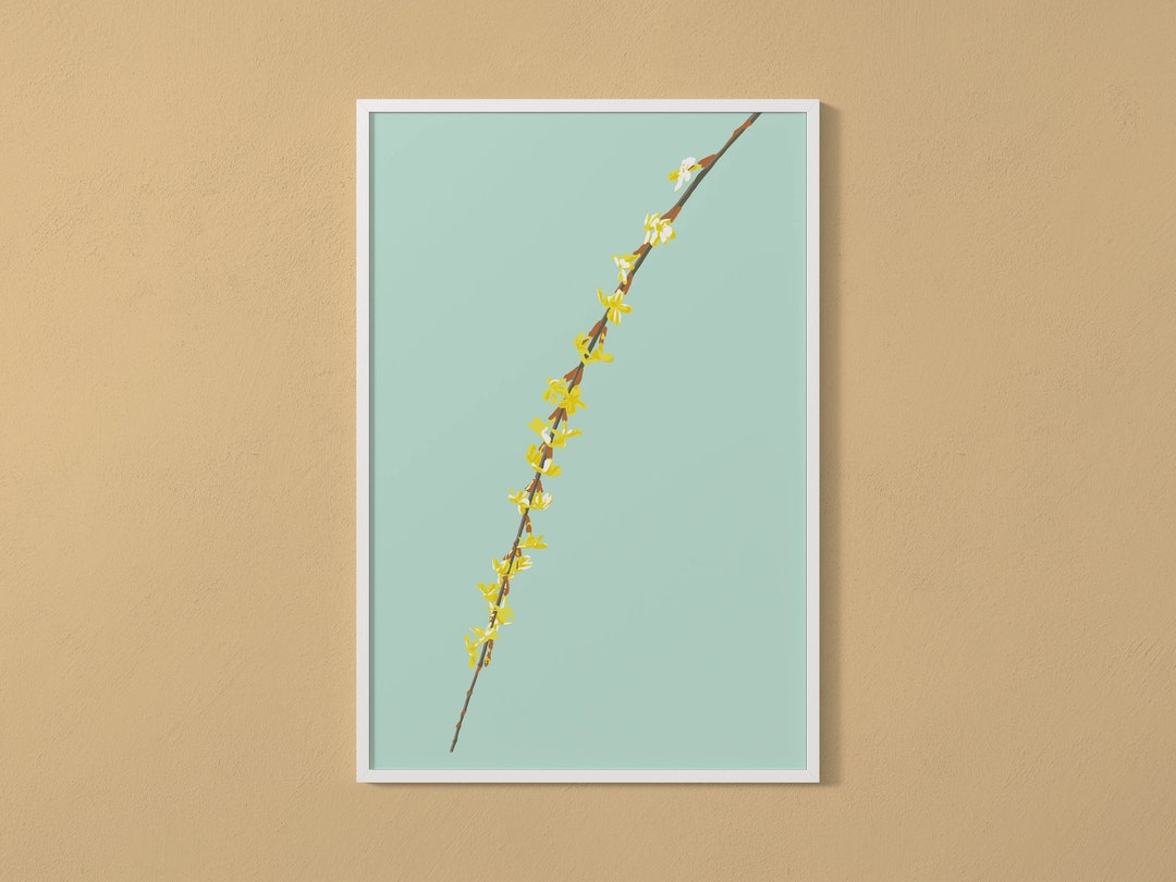 Forsythia Artwork - Digital Download of Original Drawing - Etsy
