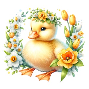 33 PNG, Easter Duck Clipart Bundle, Cute Duck Clipart, Duck PNG, Spring ...