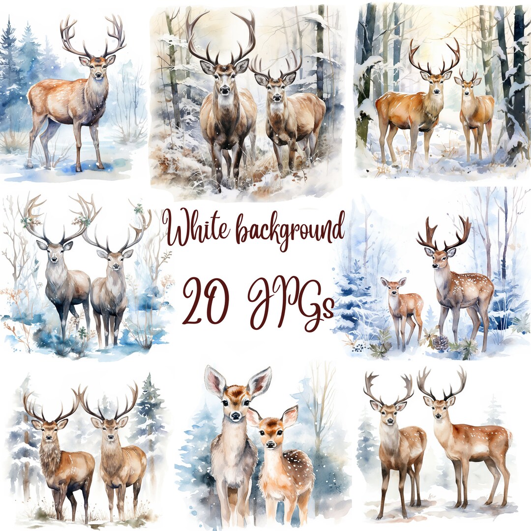 20 Winter Stag and Doe Clipart, High Quality Jpgs, Scrapbooking, Memory ...