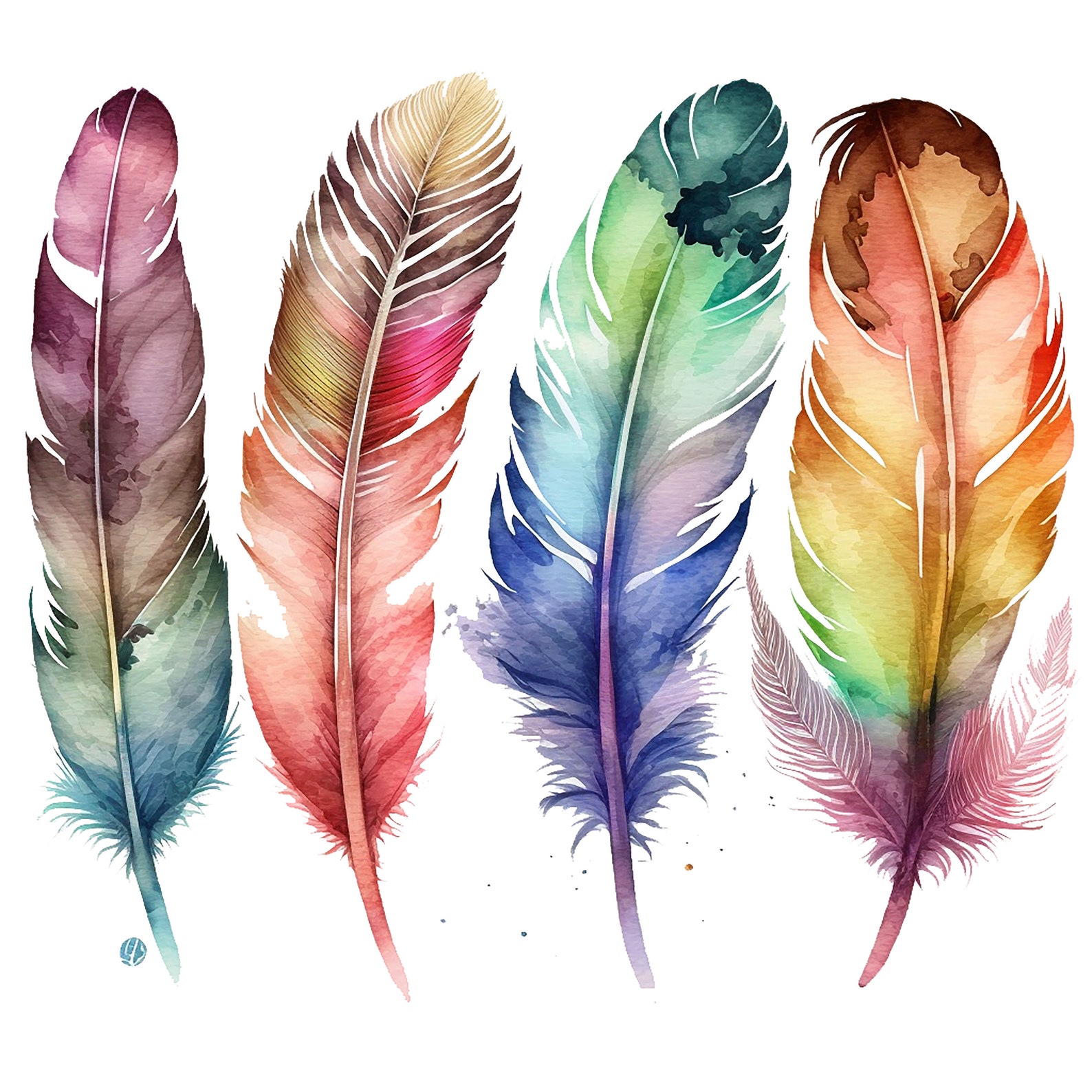 11 Watercolor Feather Clipart, Exotic Boho Feathers, Bohemian Clip Art ...