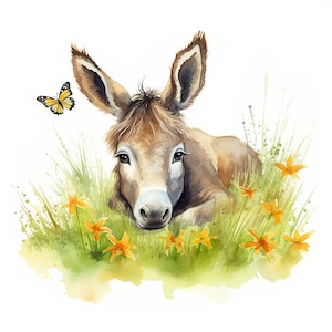 12 Happy Donkeys Clipart, Donkey Clipart, JPG, Commercial Use,digital Download, Card Making ...