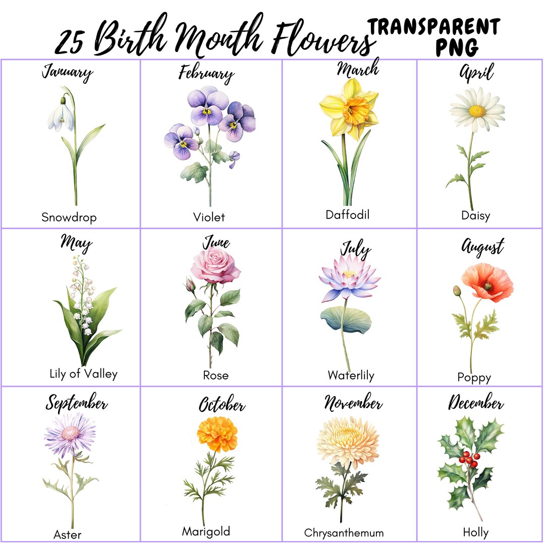 25 Birth Month Flowers Clipart, PNG, Set Watercolor, Watercolor Floral ...