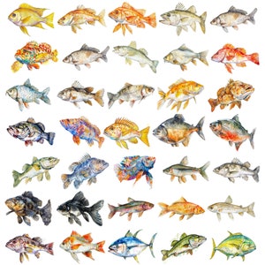 230 PNG, Fish Clipart Collection Bundle, Transparent Images Featuring ...
