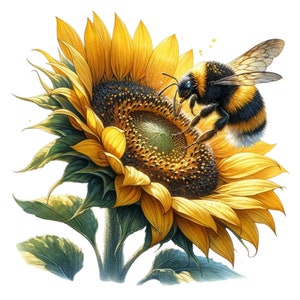 26PNG, Bumblebee on Flower Clipart Bundle, Bumblebee Clipart, Bumblebee ...