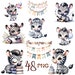 48 PNG, Watercolor Baby Zebra Clipart Bundle, Cute Zebra Clipart ...