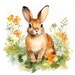 20 Spring Hare Clipart Jpgs, Printable Watercolor Clipart, Sping Rabbit ...