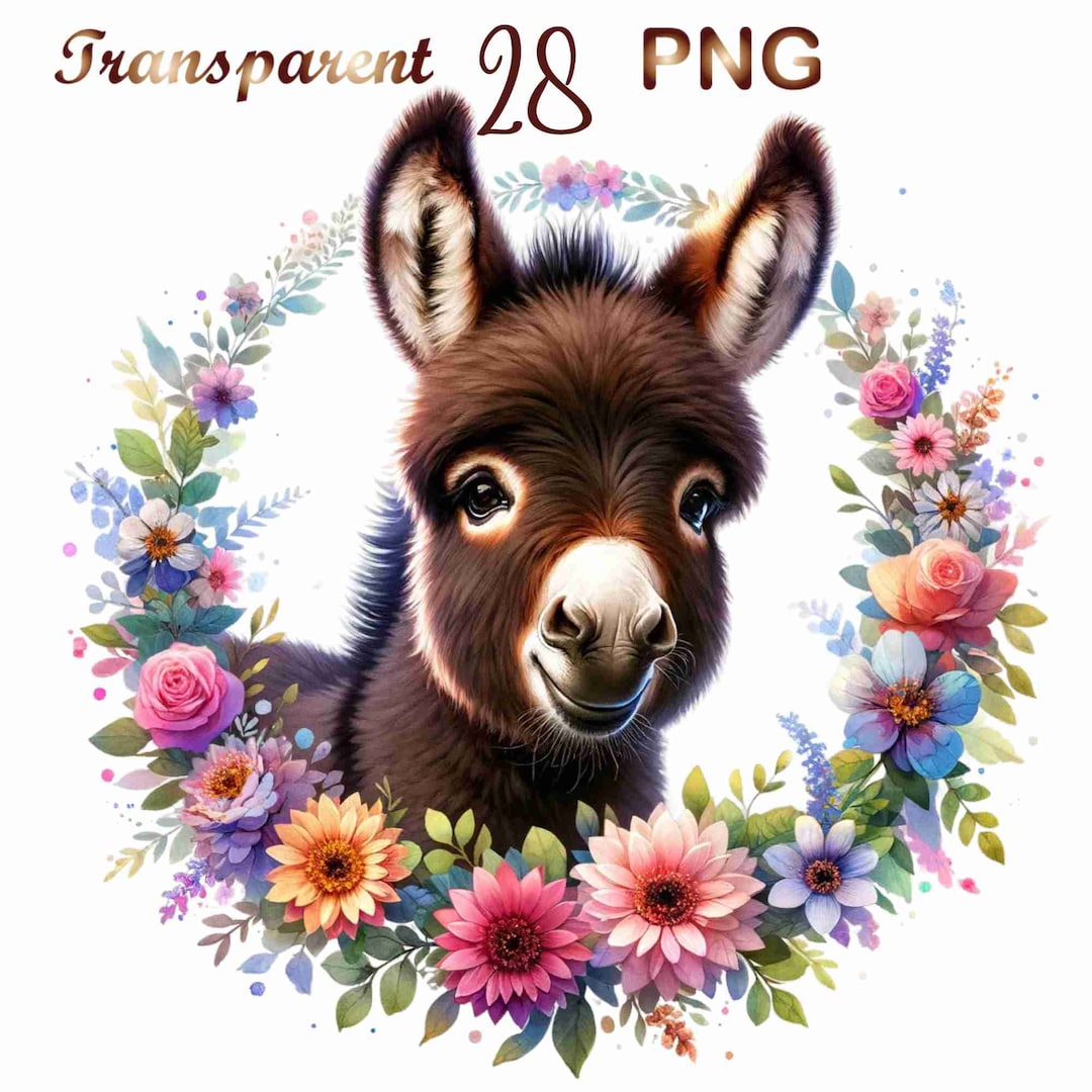 28 Donkey Clipart, Donkey Png, Donkey Poster,donkey Wall Art, Donkey ...