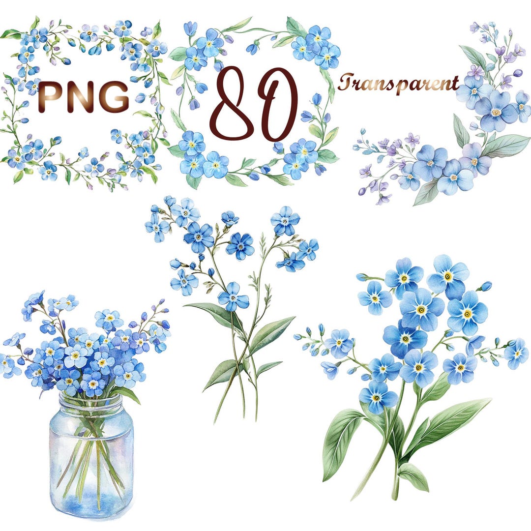 80 PNG Forget Me Not Clipart Bundle | Digital Download | Unlimited ...