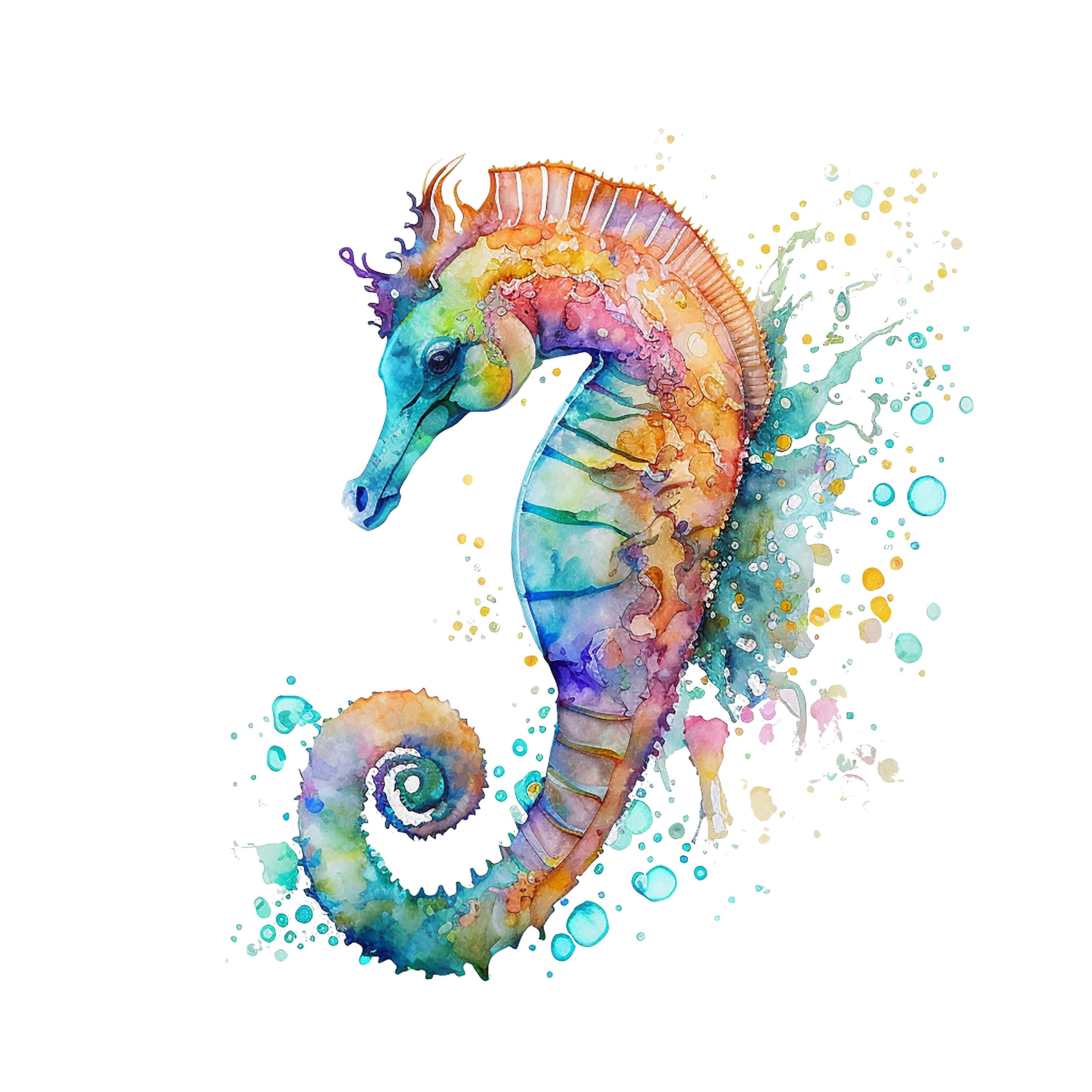 10 Seahorse Clipart, Fish Clipart, Sea Clipart, Jpgs, Commercial Use ...
