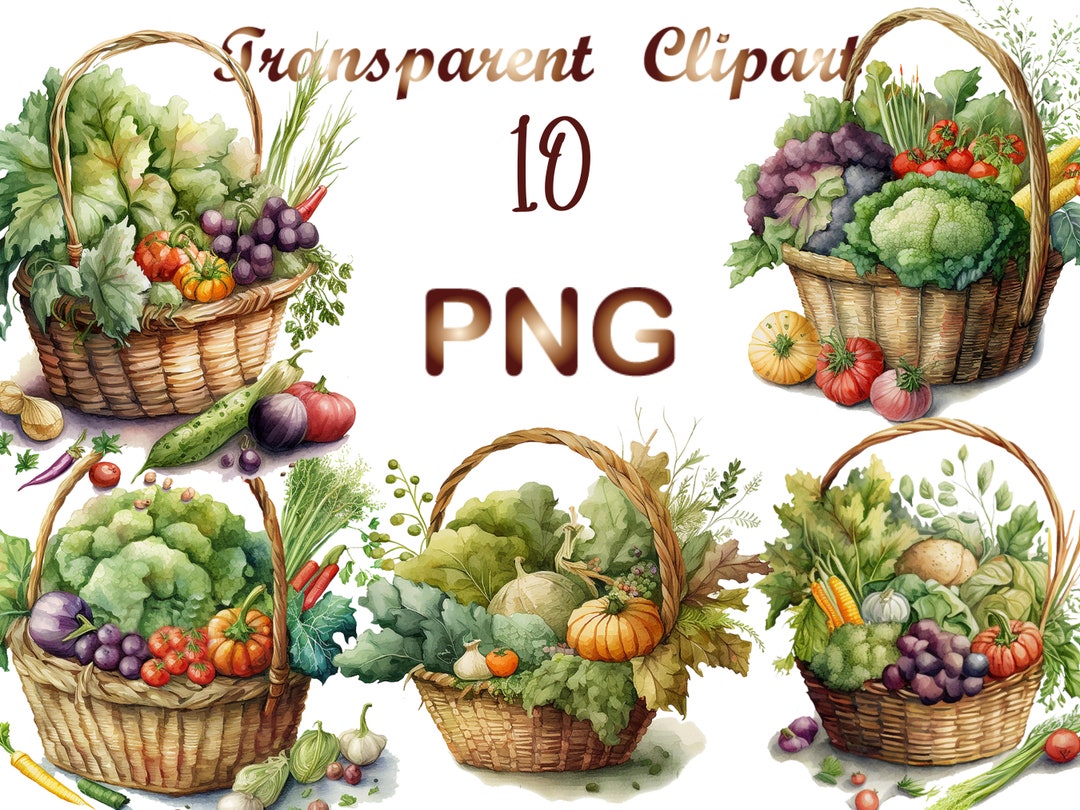 10 Vegetable Baskets PNG Vegetable Baskets Clipart Harvest - Etsy