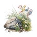10 Wildflowers and Stones Clipart, Floral Clipart, Jpgs, Commercial Use ...