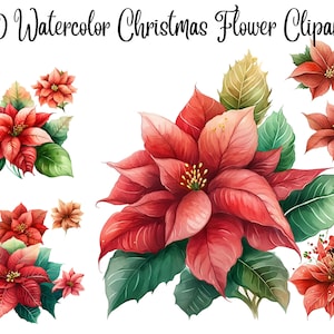 Watercolor Poinsettia Clipart: Christmas Flower Graphics (digital ...