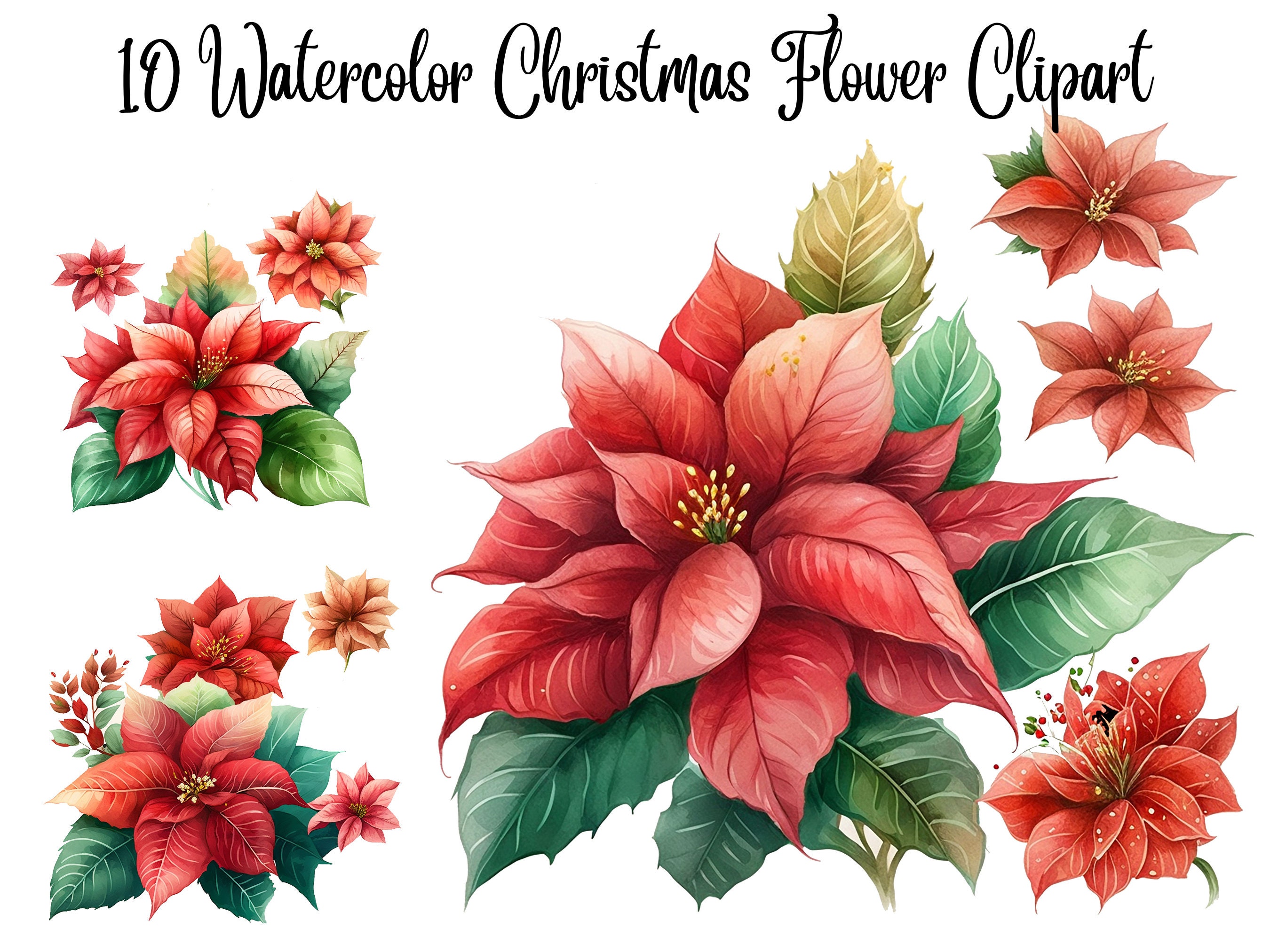Poinsettia Clip Art