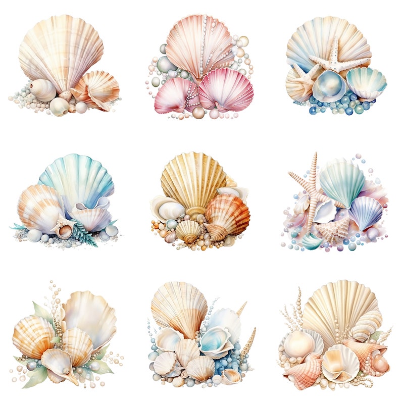 25 Watercolor Seashells Clipart, Jpgs, Seashells JPG, Seashells Clipart ...