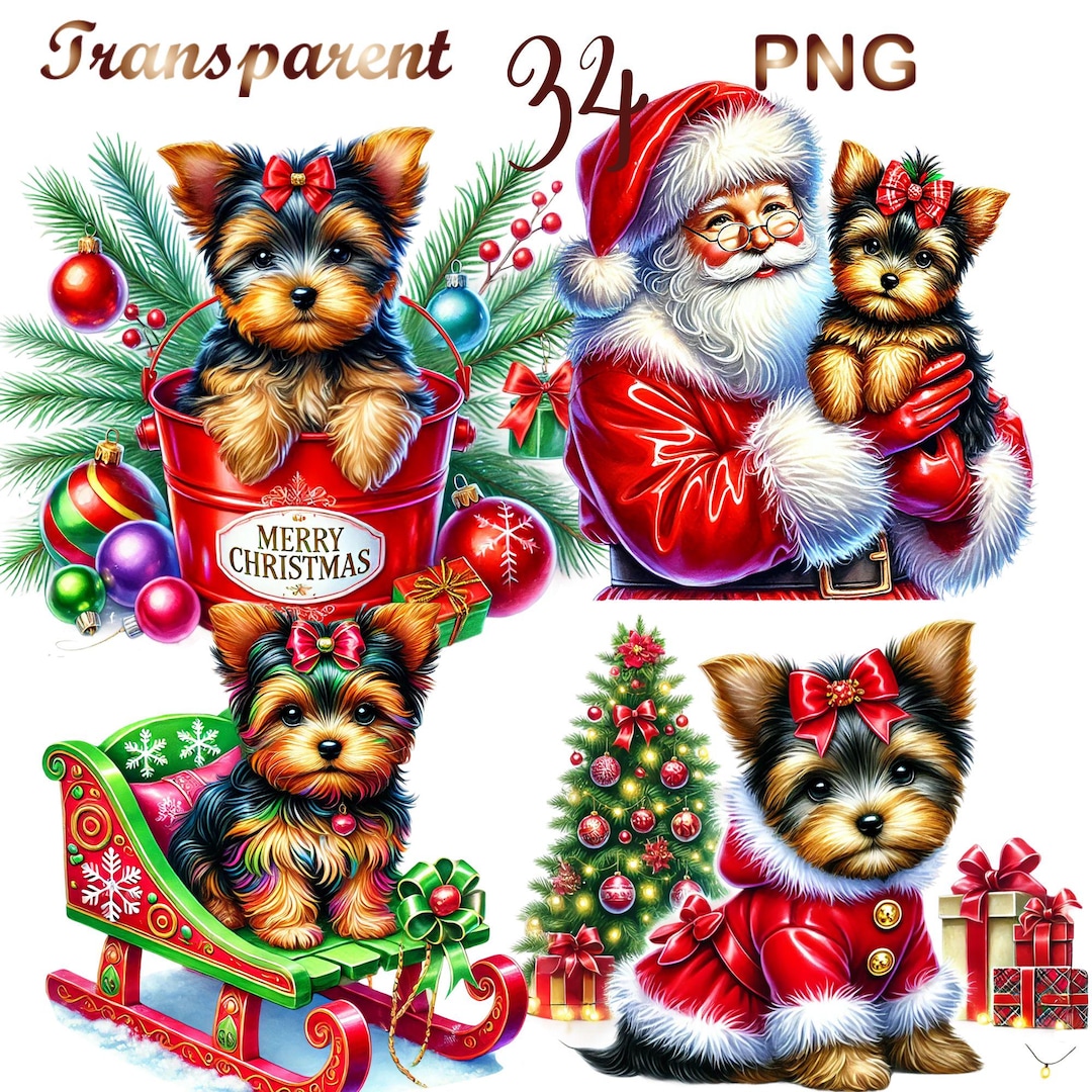 34 PNG Christmas Yorkshire Terriers Clipart Bundle, Festive Yorkie ...
