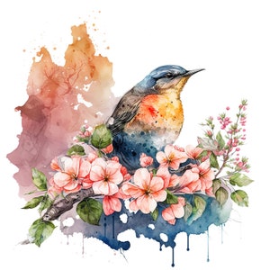 12 Floral Bird Clipart, Jpgs, Digital Download, Card Making, Clip Art ...