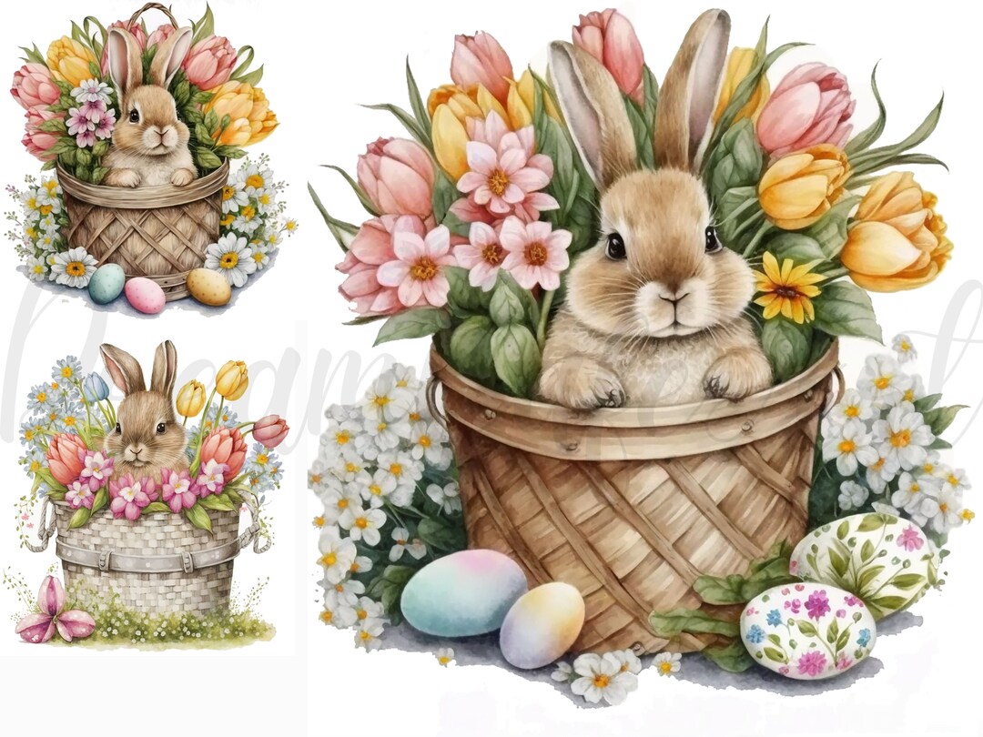 10 Jpgs, Easter Bunny Basket Clipart, Commercial Use, Digital Download ...