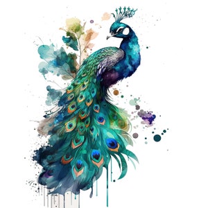 8 Bird Clipart, Peacock Clipart, Peacock Clip Art, Watercolor Clipart ...