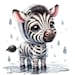 40 PNG, Watercolor Baby Zebra Clipart Bundle, Cute Zebra Clipart ...