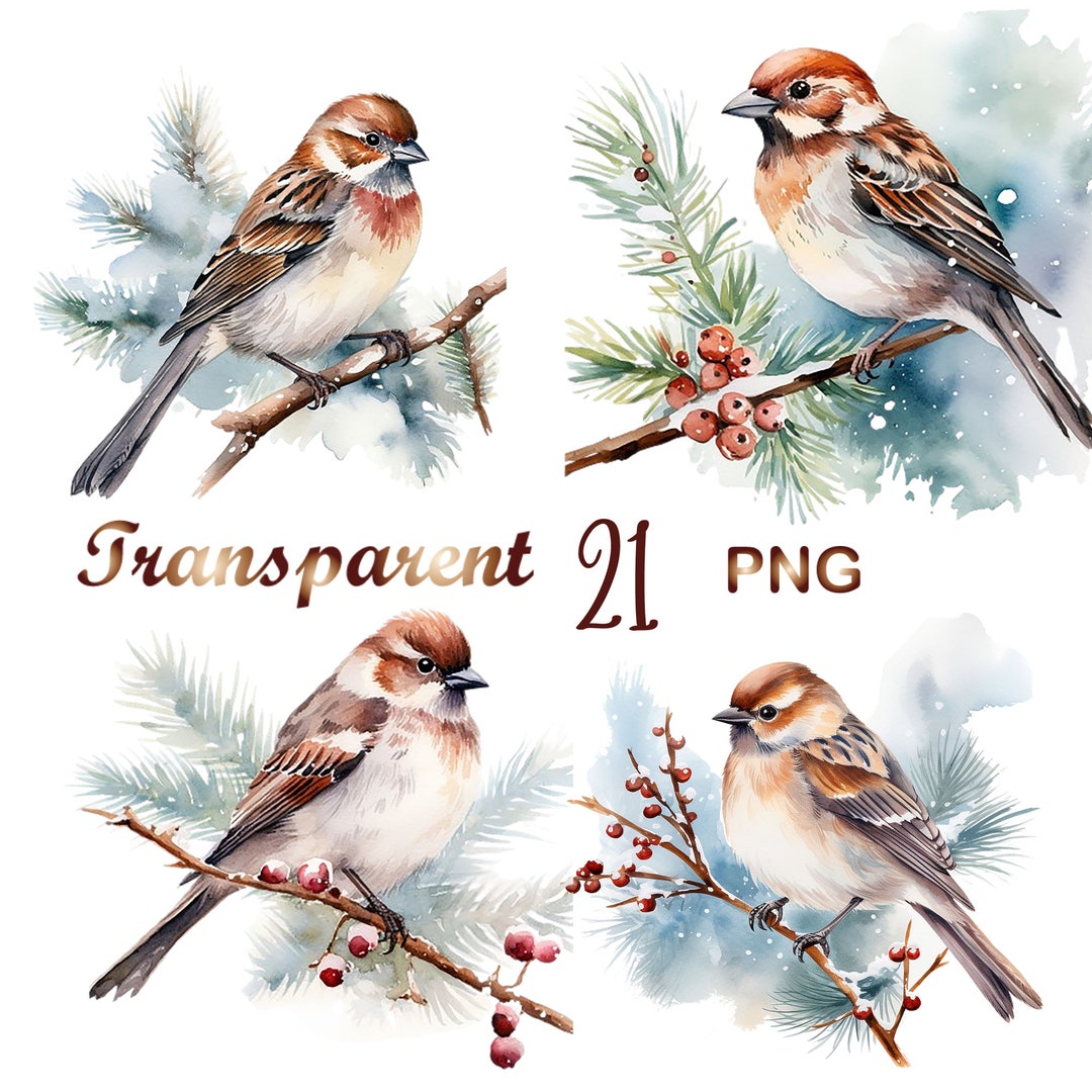 21 Sparrow Watercolor Clipart, Sparrows PNG Bundle, Watercolor Sparrow ...