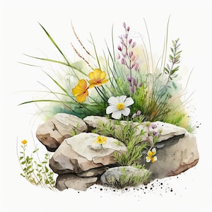 10 Wildflowers and Stones Clipart, Floral Clipart, Jpgs, Commercial Use ...