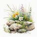 10 Wildflowers and Stones Clipart, Floral Clipart, Jpgs, Commercial Use ...