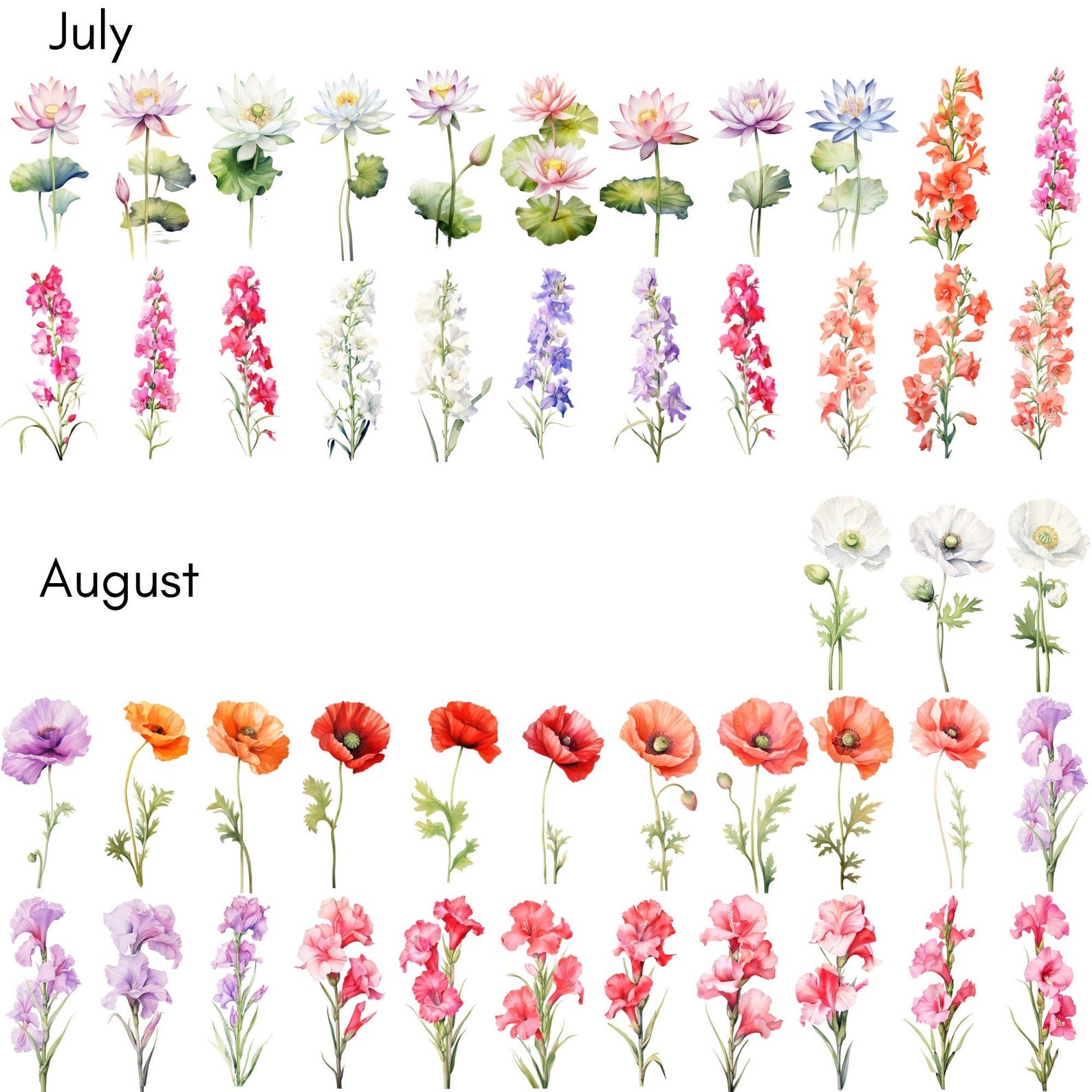 300 Birth Month Flowers Clipart, PNG, Set Watercolor, Watercolor Floral ...