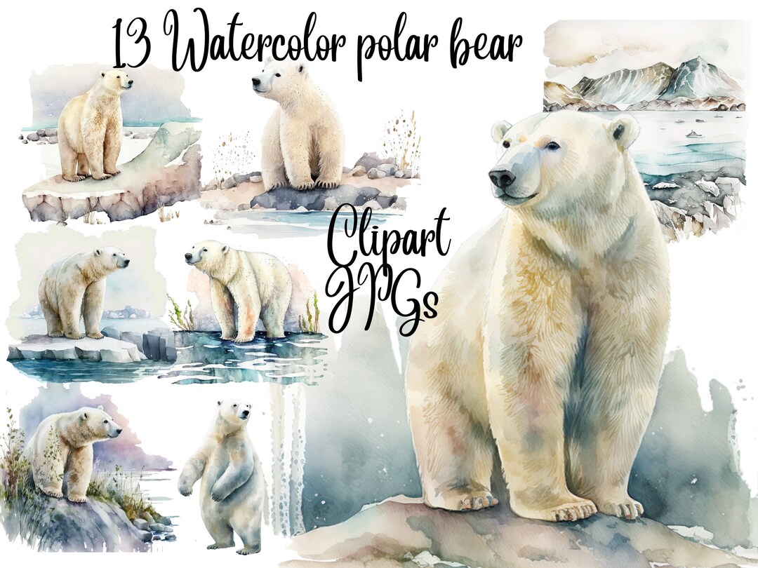 13 Watercolor Polar Bear Clipart, Jpgs, Commercial Use, Digital ...