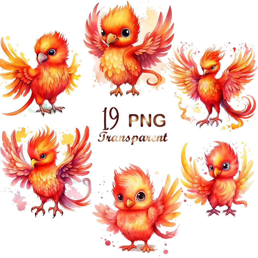 19 Baby Phoenix Clipart Bundle, PNG Fairytale Fantasy, Digital Download ...