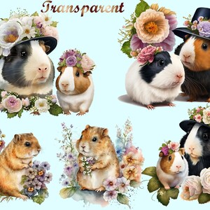 29 Watercolor Guinea Pigs Clipart PNG, Guinea Pigs Png, Flower Guinea ...