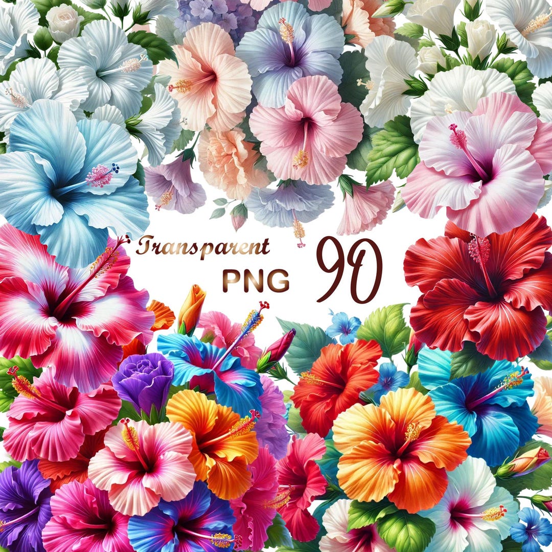 90 PNG Tropical Hibiscus Clipart Bundle | Bright Floral Illustrations ...