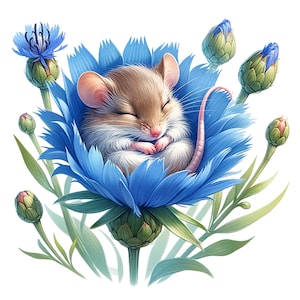 25 PNG, Floral Mouse Clipart Bundle, Cute Mouse Clipart, Mouse ...