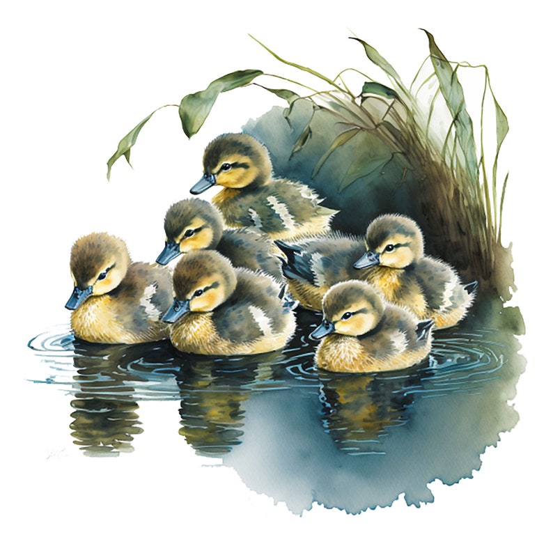 10 Ducklings Clipart Baby Duck Clipart Duckling Animal - Etsy
