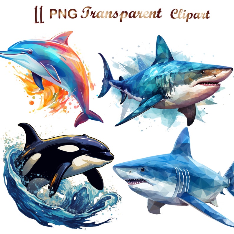 11 Marine Mammals Png, Instant Download, Png,marine Life,sea Life Png ...