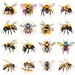 57 Watercolor Bumblebee Clipart Png,bee Clipart,bee Sublimation ...